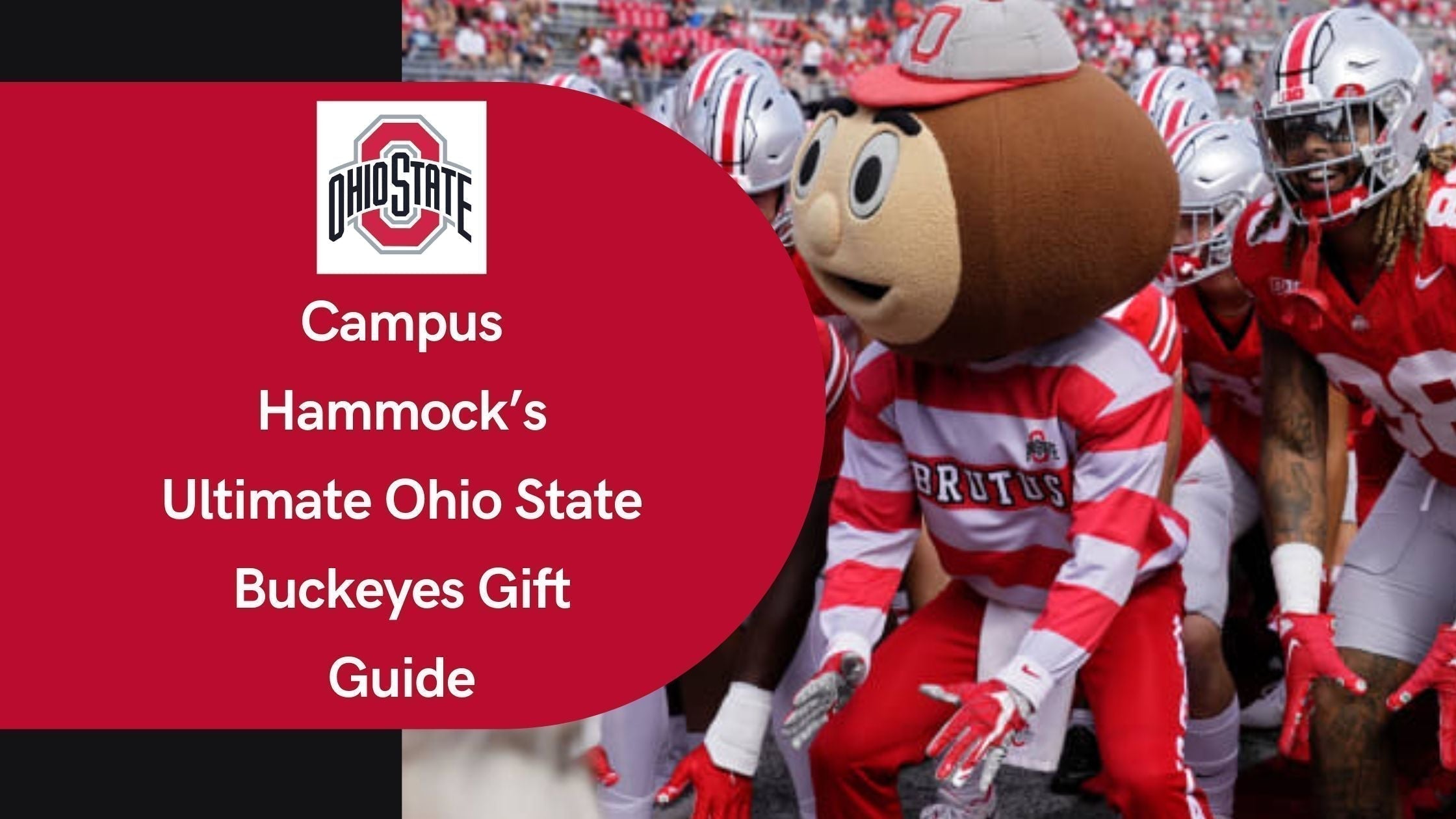 Ultimate Ohio State Buckeyes Gift Guide – Campus Hammocks