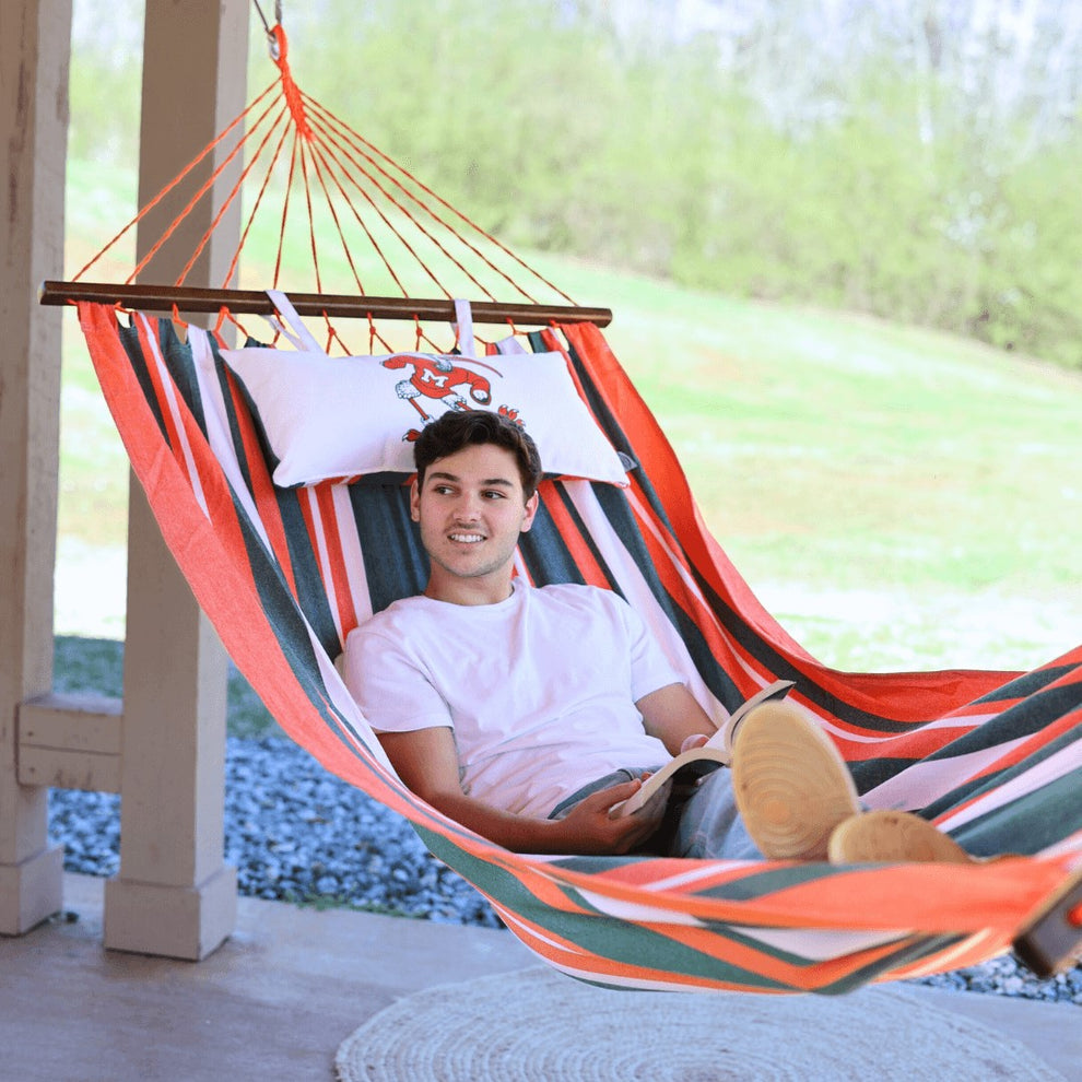 University of Miami Hammock Ibis - Miami Hurricanes Mascot Hammock ...