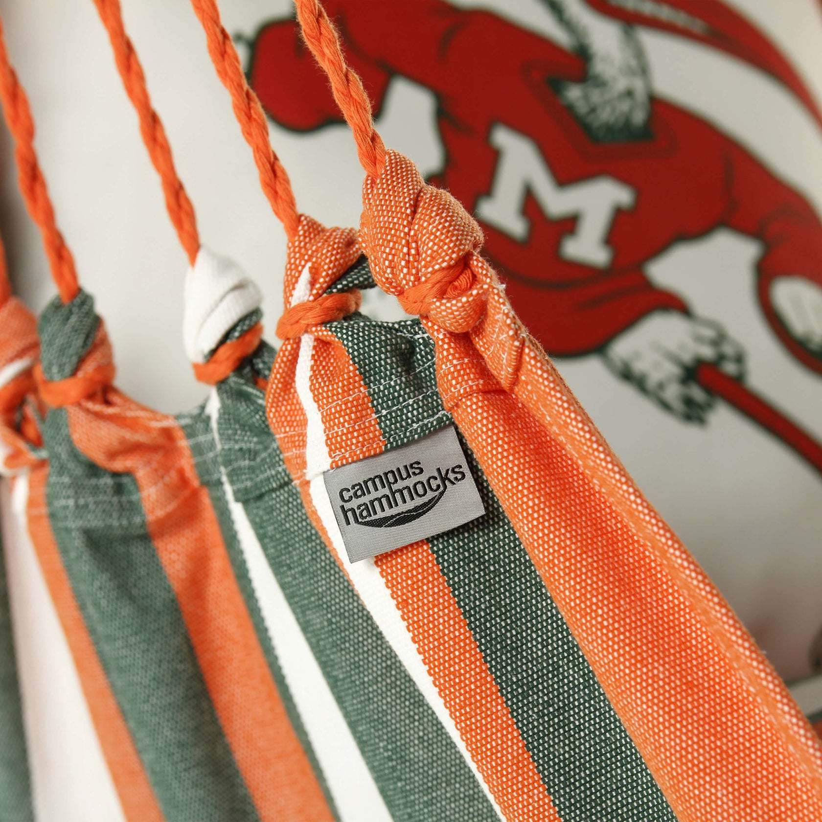 University of Miami Hurricanes Chair Swing | MIAMI Mascot Sebastian ...